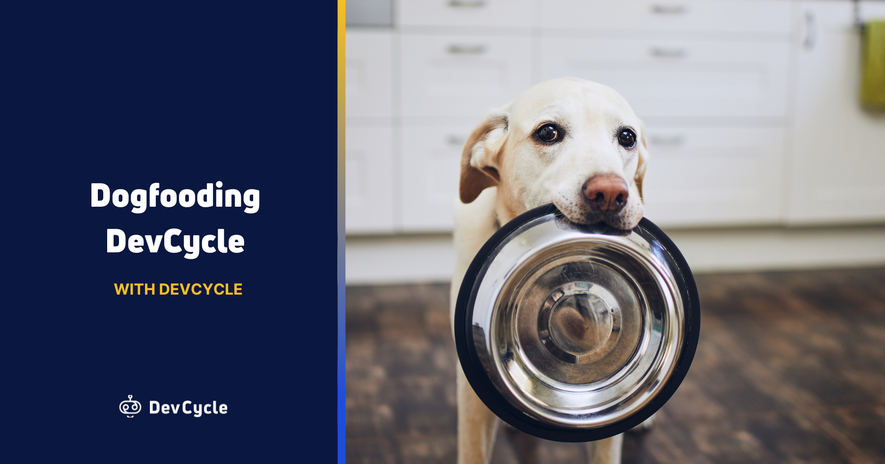 Dogfooding DevCycle with DevCycle